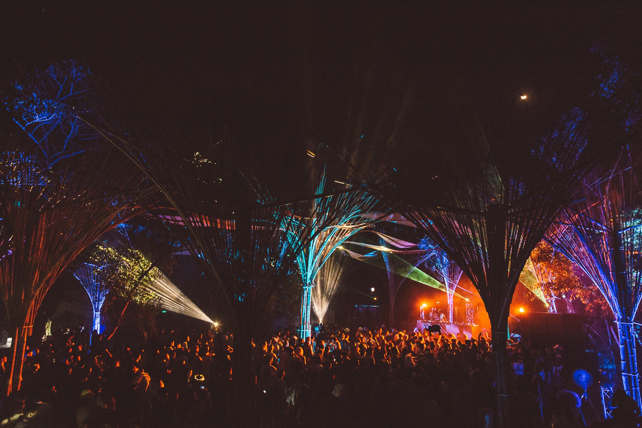 The WonderFruit Festival: A Conscious Love for Music – Beats Beyond Borders